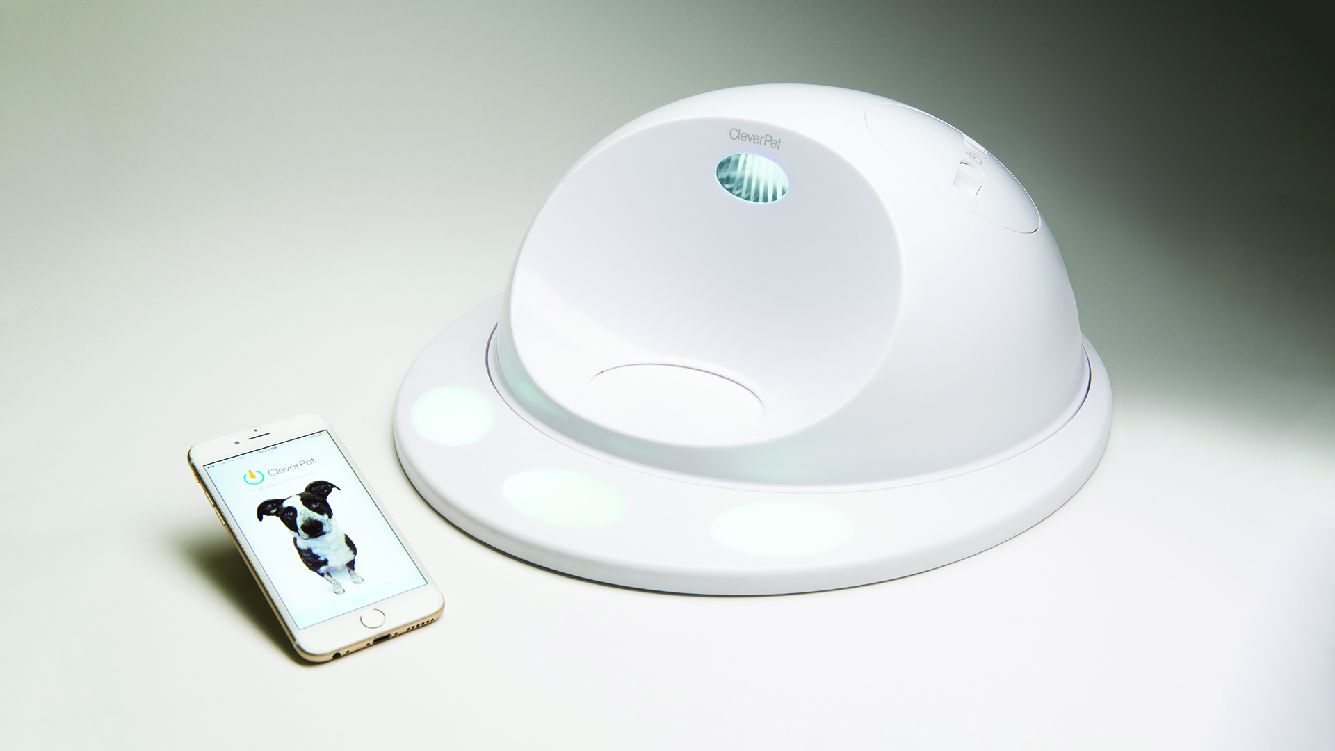 REVIEW / Cleverpet dog game console - That VideoGame Blog